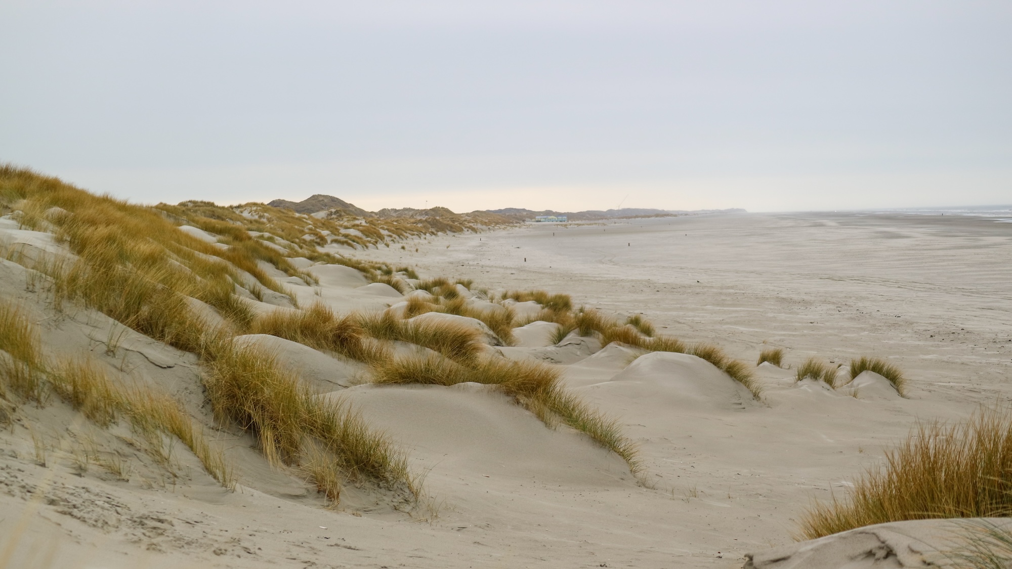 Winter op Terschelling: een magische ervaring zonder drukte