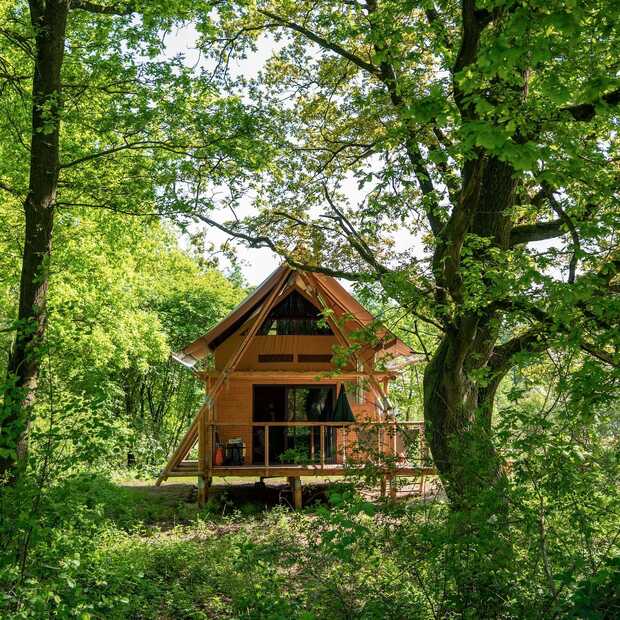 Kamperen aan de Vecht: op Camping de Roos kom je écht tot rust