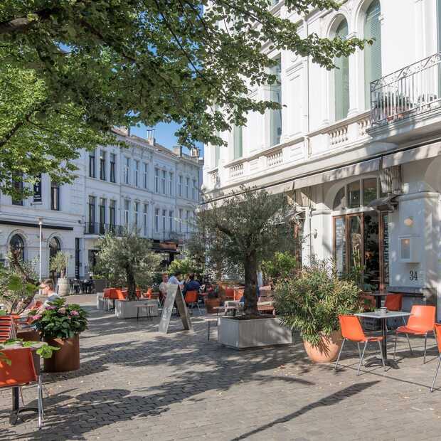 Dit wil je doen in 't Zuid, de leukste wijk van Antwerpen