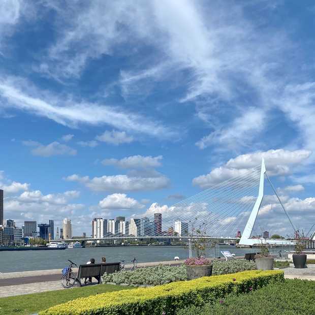 De vijf mooiste, zeldzaam groene plekken in Rotterdam