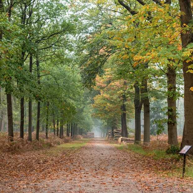 De 7 mooiste Nationale Parken van Nederland – Travelvalley