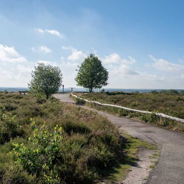 Genieten van rust op de Sallandse Heuvelrug doe je zo