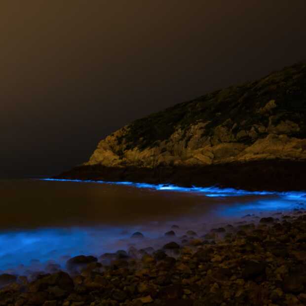 Zeevonk, een magisch natuurverschijnsel, wanneer zie je het?